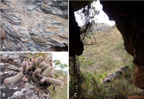 Nosso Símbolo - Instituto Prístino